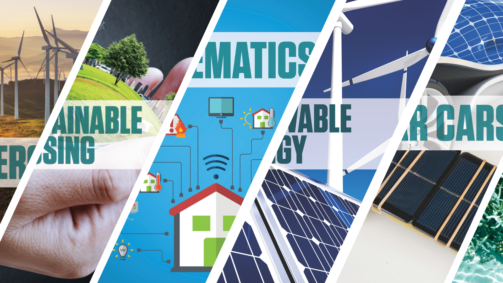 Teaching Resources – STELR Shop